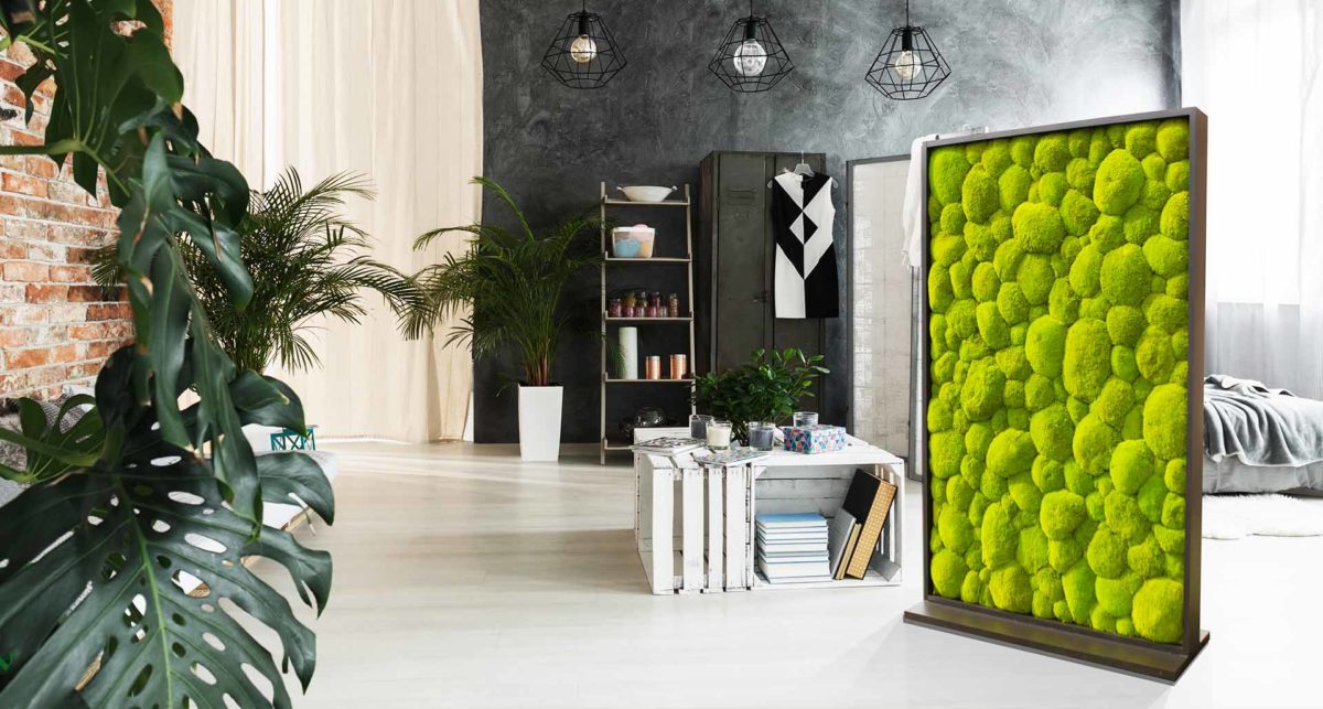Premium Mooswand Wandverkleidung der Moos•Moos Manufaktur